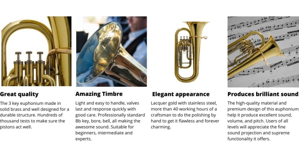Harmonics HEP-1181L Bb Tuba Euphonium Convertible for Marching and ...