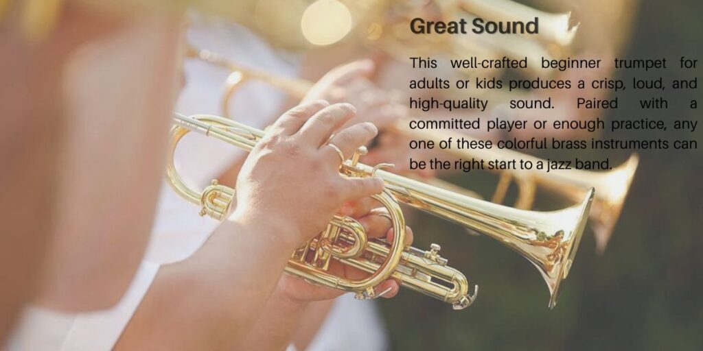 Harmonics HCR-900L Cornet Bb Trumpet for Beginner or Advanced with ...