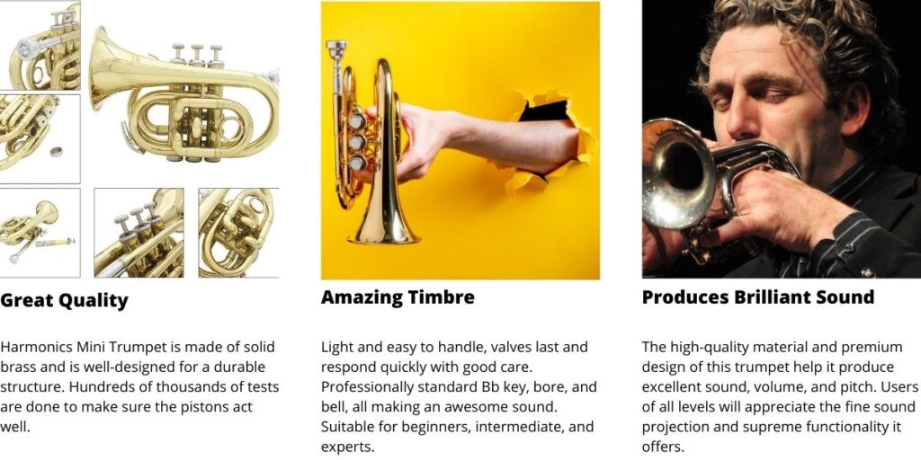 Harmonics Small Trumpet HMT-500L Bb Mini Pocket Trumpet Gold Lacquer ...