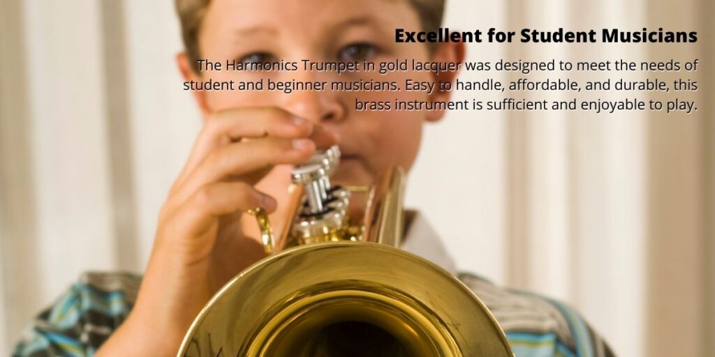 Harmonics HTR-335L Standard Bb Trumpet Gold Lacquer with Soft Carrying ...
